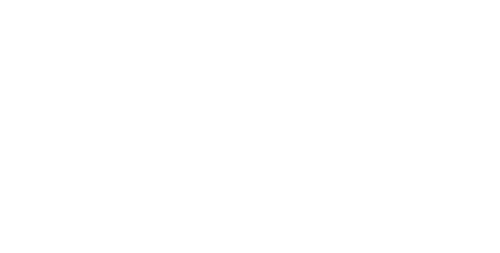 About Us | Cerberus